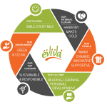 Eviva Tour is Vietnam operator tour company | Top DCM in Vietnam