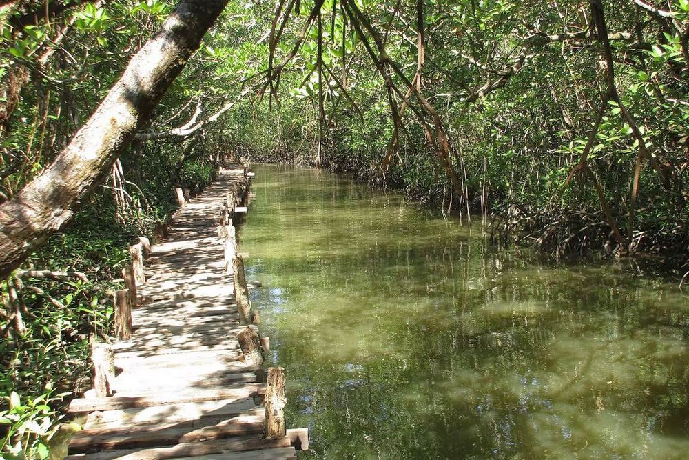 Ream National Park in Sihanoukville - National Park in Sihanoukville