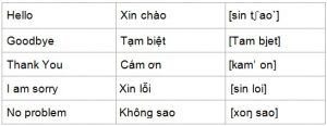 Basic Vietnamese Phrases - Useful Vietnamese Words | Eviva Tour Vietnam